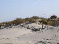 Morris Island Lighthouse - Folly Beach