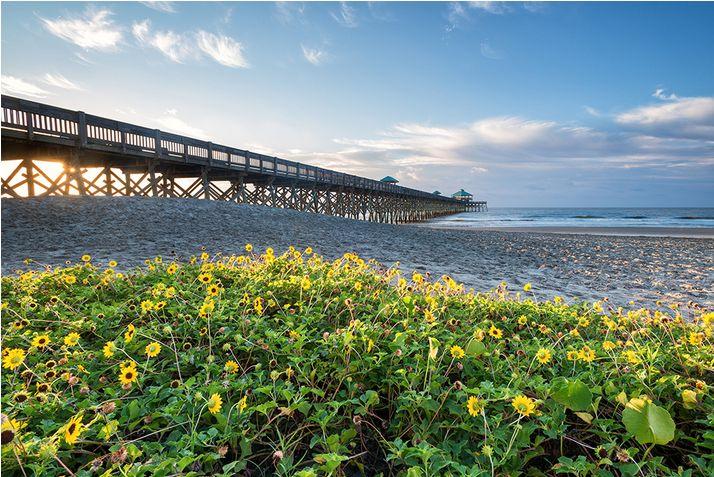 Folly Beach - The Guide to Folly Beach, SC | FollyBeach.com®