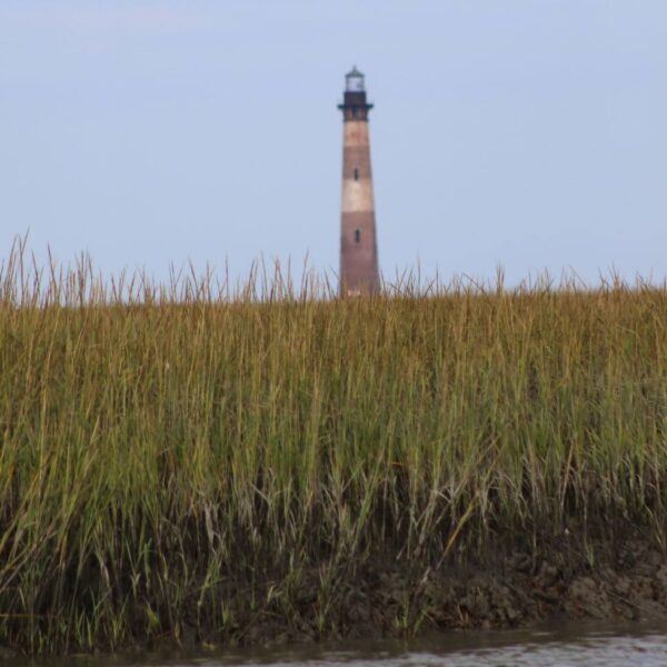 Feel Free to Bring Fido to Folly, But Don't Forget the Rules Change in ...