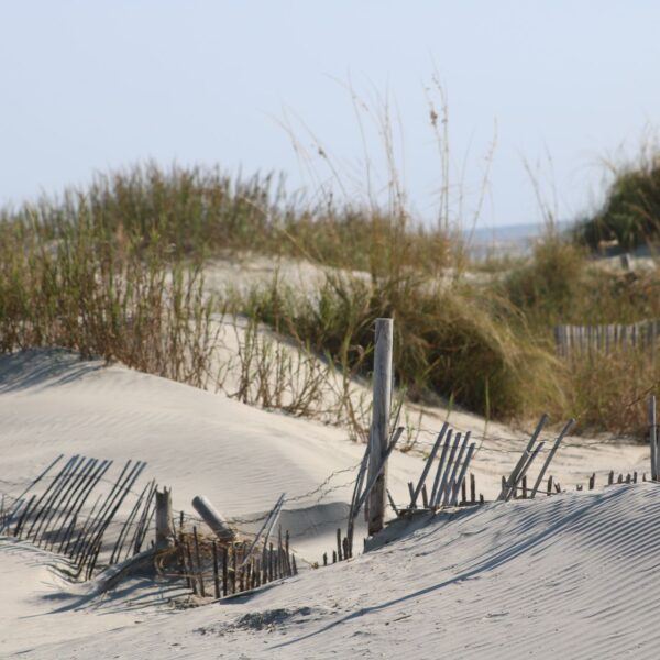 Folly Beach - The Guide to Folly Beach, SC | FollyBeach.com®